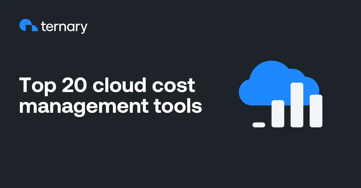 Top 20 Cloud Cost Management & Optimization Tools | Ternary