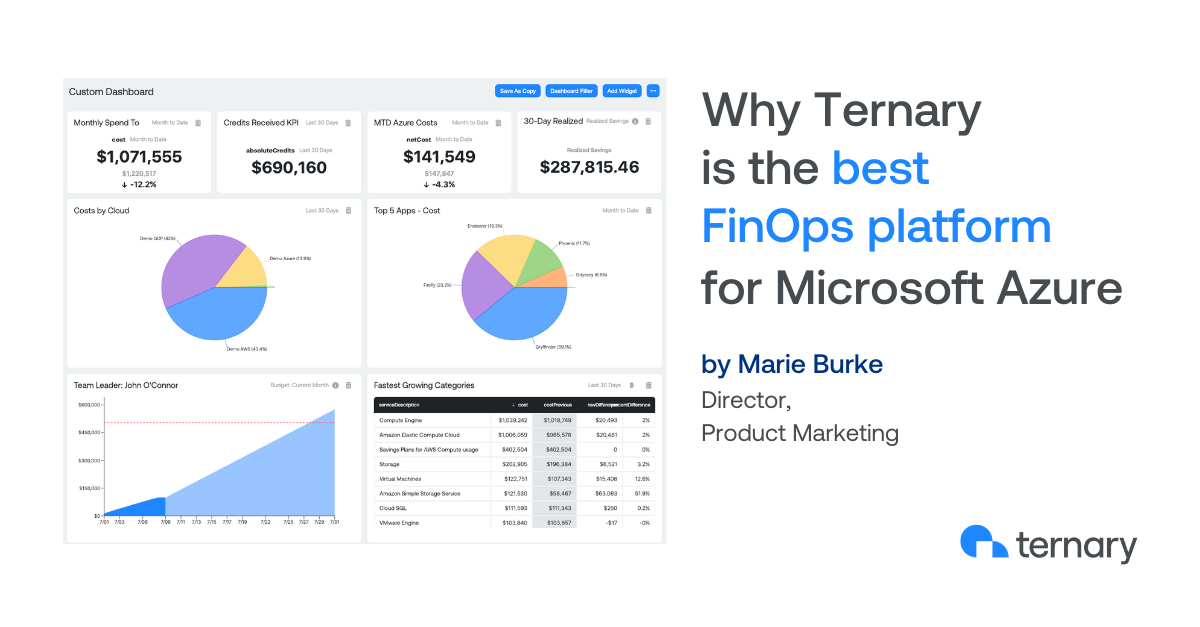 Why Ternary is the best Azure FinOps platform Why Ternary is the best Azure FinOps platform